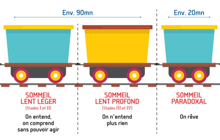 Les Différents Cycles de Sommeil - Dormir avec Récupération